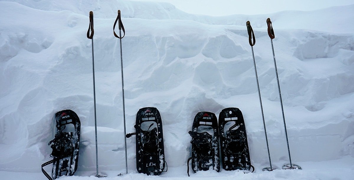 Nature tour with snowshoes - Sea Lapland Safaris